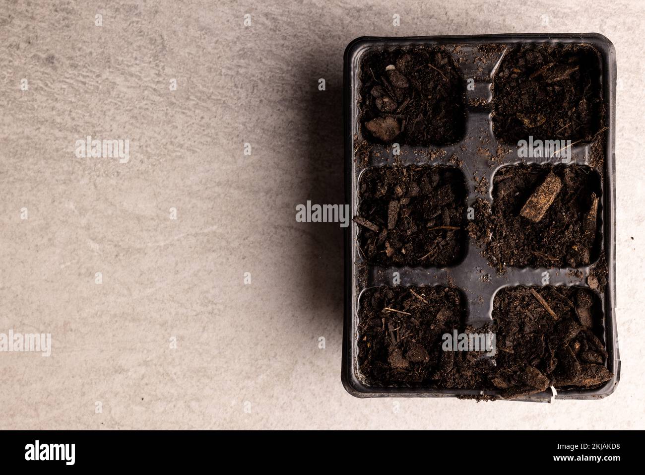 Overhead of seedling tray filled with dark soil with bark pieces, with ...