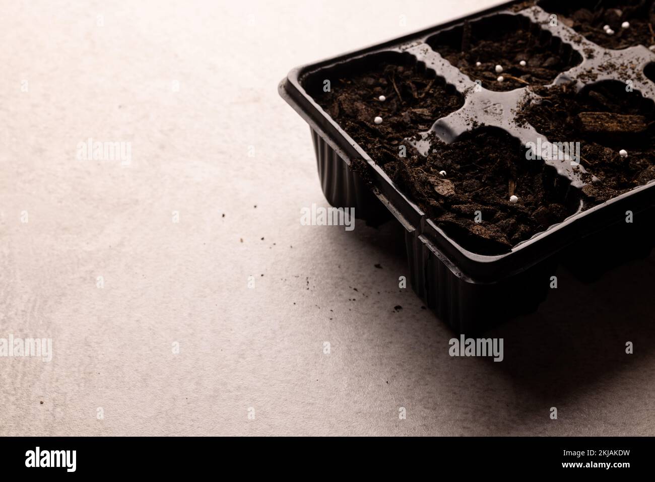 Seedling tray filled with dark soil and fertiliser, with copy space ...