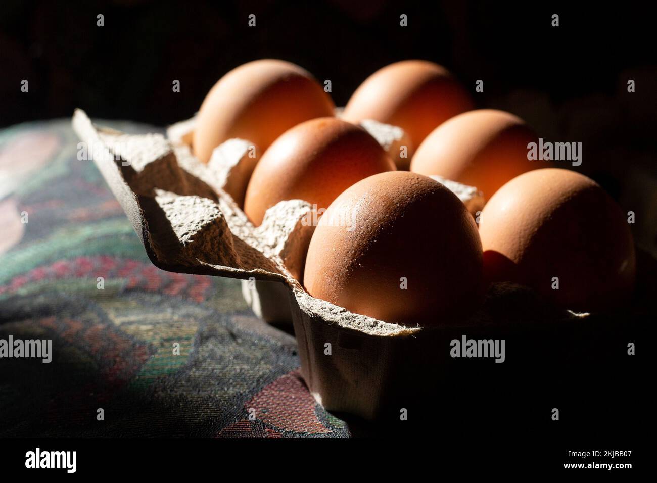 Close up photo of brown fresh eggs in grey paper container. High ...