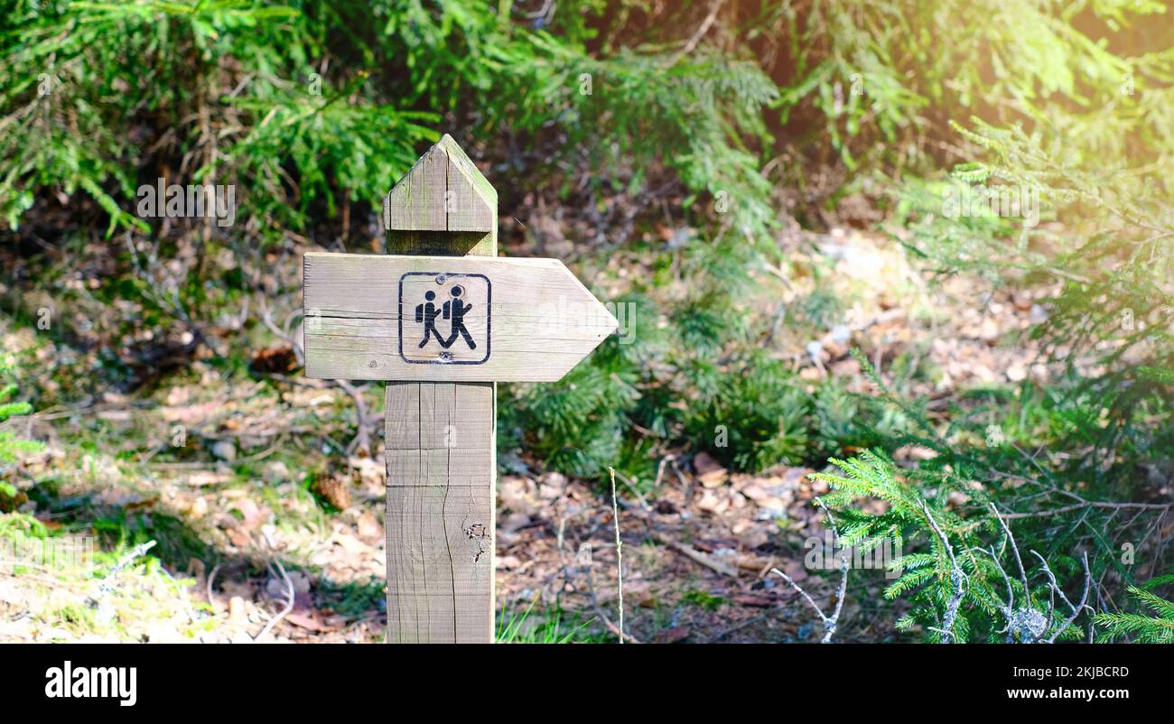 A wooden pole with an indicator of the direction of a walking route in ...