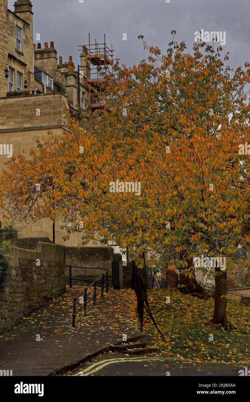 Autumn in Sydney Gardens Bath Stock Photo - Alamy