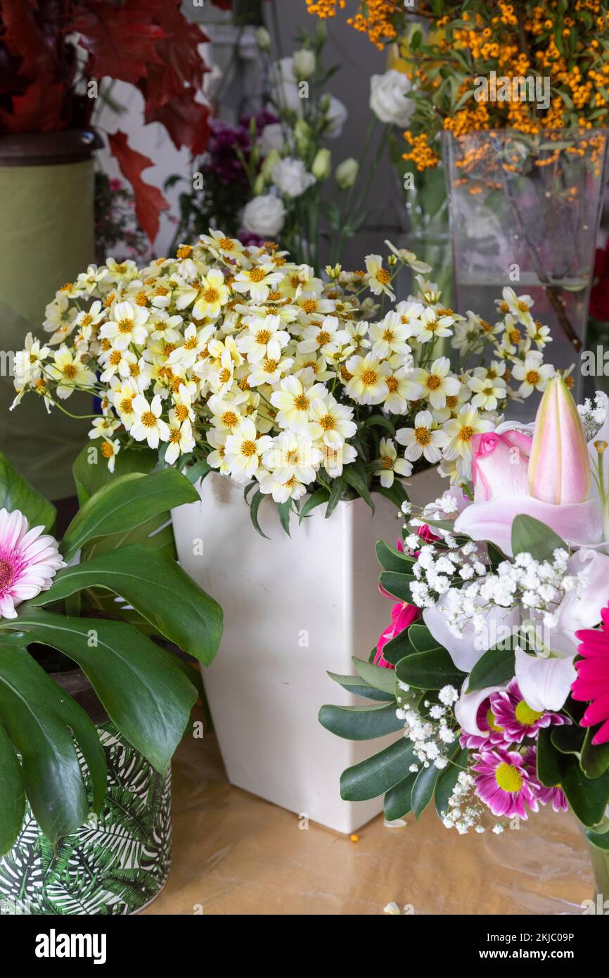 Daisies and assorted flowers ready for sale, at a florist Stock Photo ...