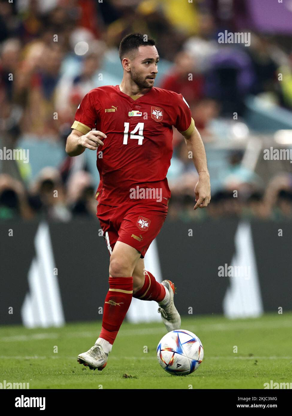 LUSAIL CITY - Andrija Zivkovic of Serbia during the FIFA World Cup ...