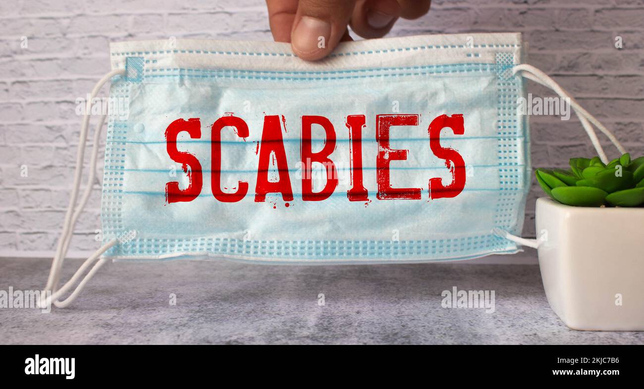 The words Scabies is written on white paper on a grey background near a ...