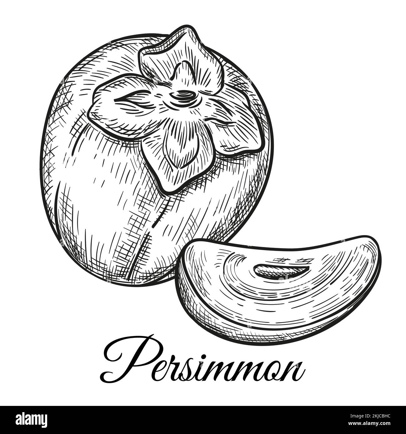 Sharon persimmon Asian Japanese kaki tropical juicy fruit botanical ...