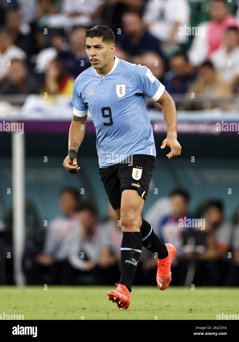 DOHA - Luis Suarez of Uruguay during the FIFA World Cup Qatar 2022 ...