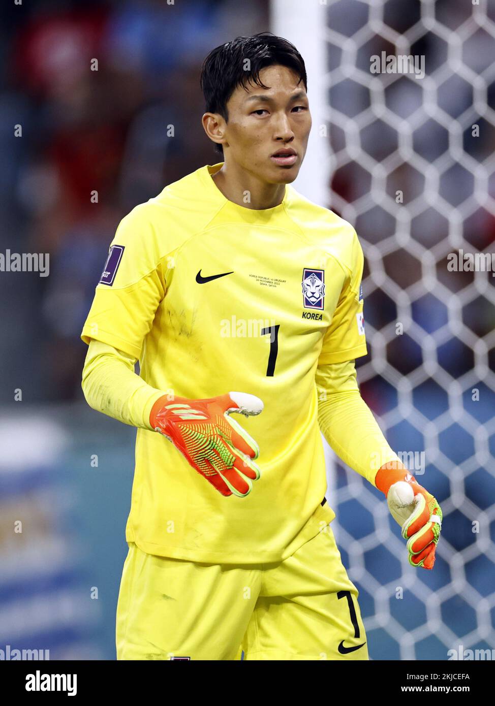 DOHA - Korea Republic goalkeeper Seung-Gyu Kim during the FIFA World ...