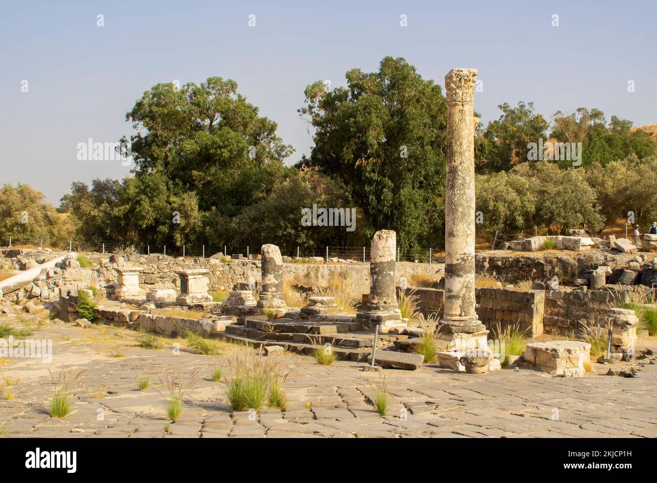 6 Nov 2022 Ancient Roman ruins in the Beth Shean National Park near ...