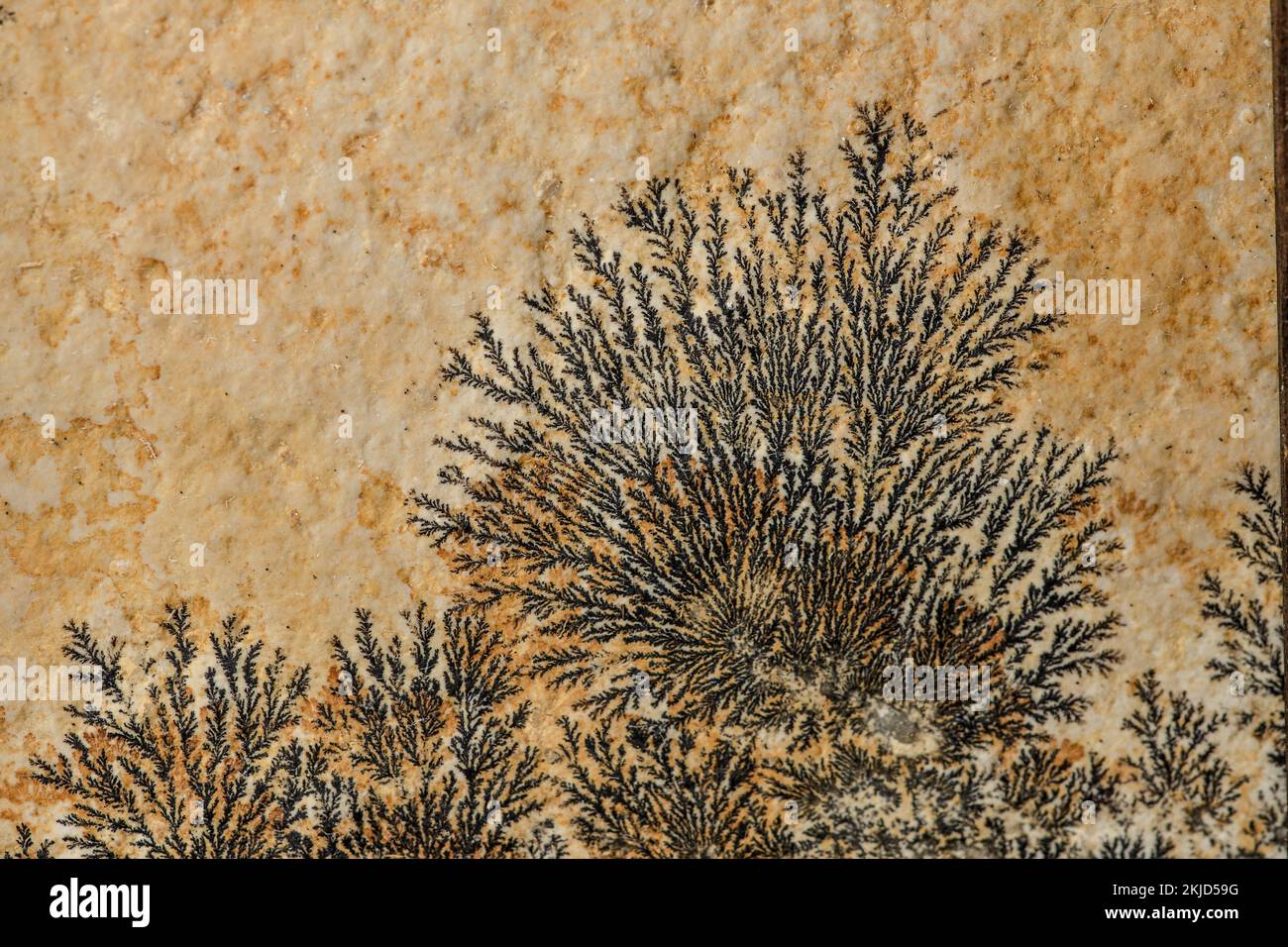 A close up shot of a beautiful crystal dendrite sandstone Stock Photo ...