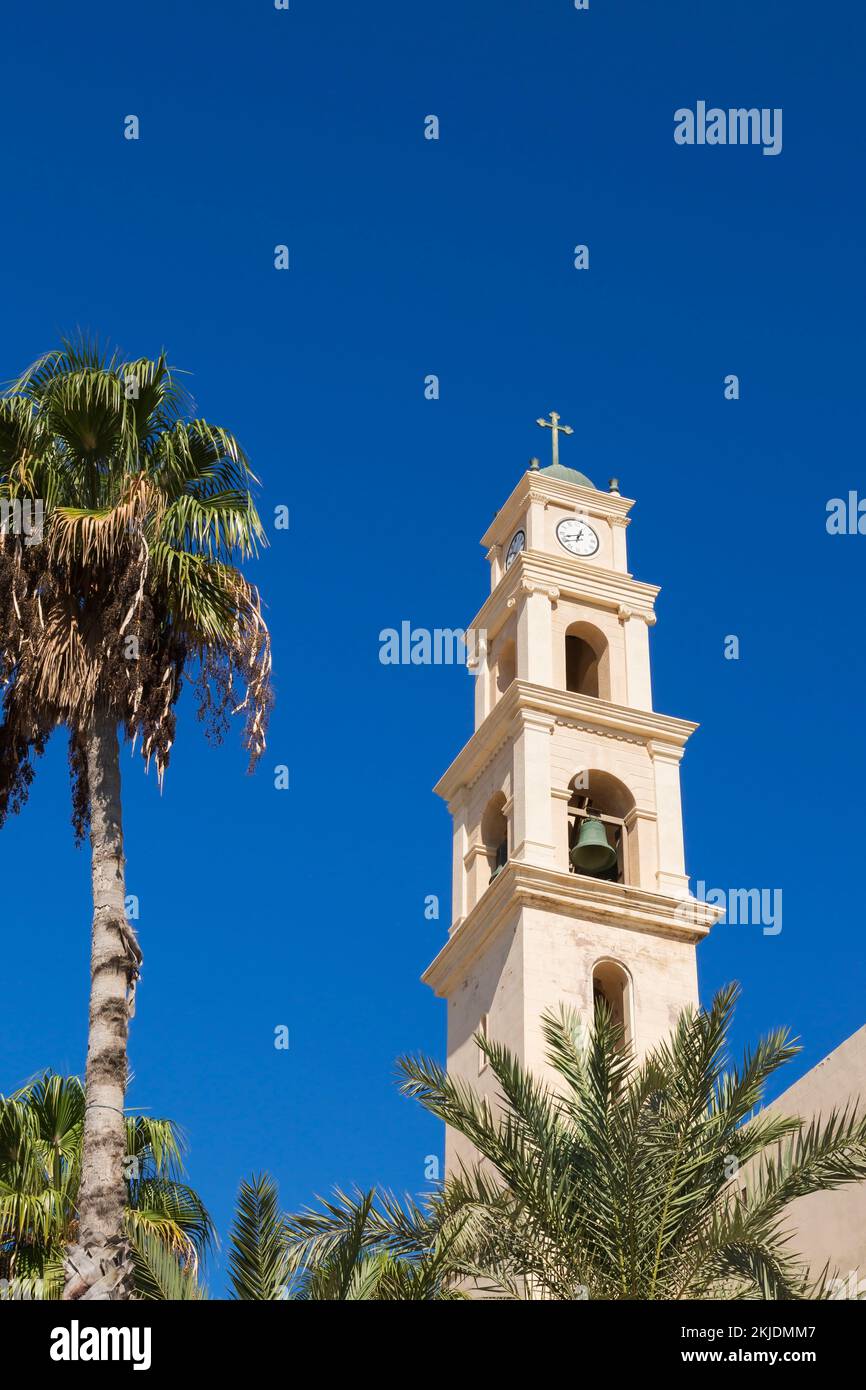 St-Peter's Church bell tower framed through Phoenix dactylifera - Date ...
