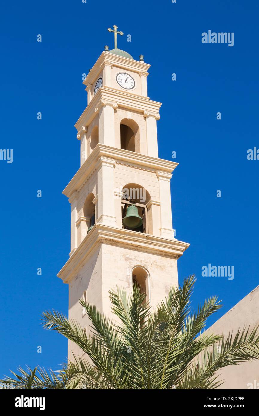 St-Peter's Church bell tower framed through Phoenix dactylifera - Date ...