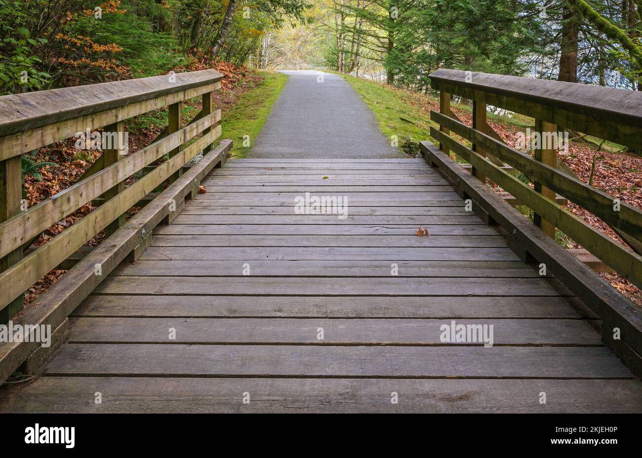 Hiking trail and view of beautiful rainforest in Canada. Eco path ...