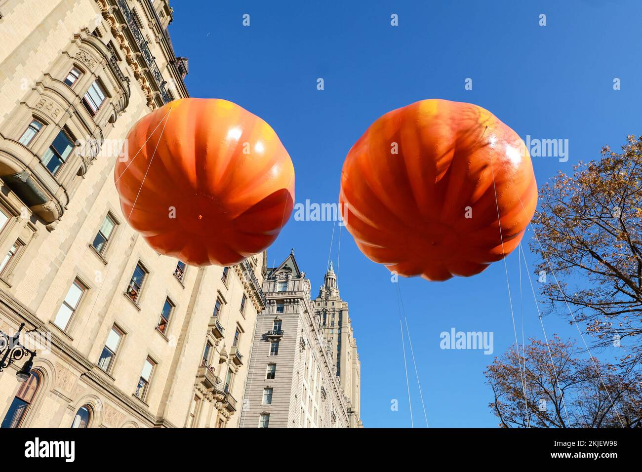 NEW YORK, NEW YORK - November 24, 2022: The biggest pumpkins in the ...