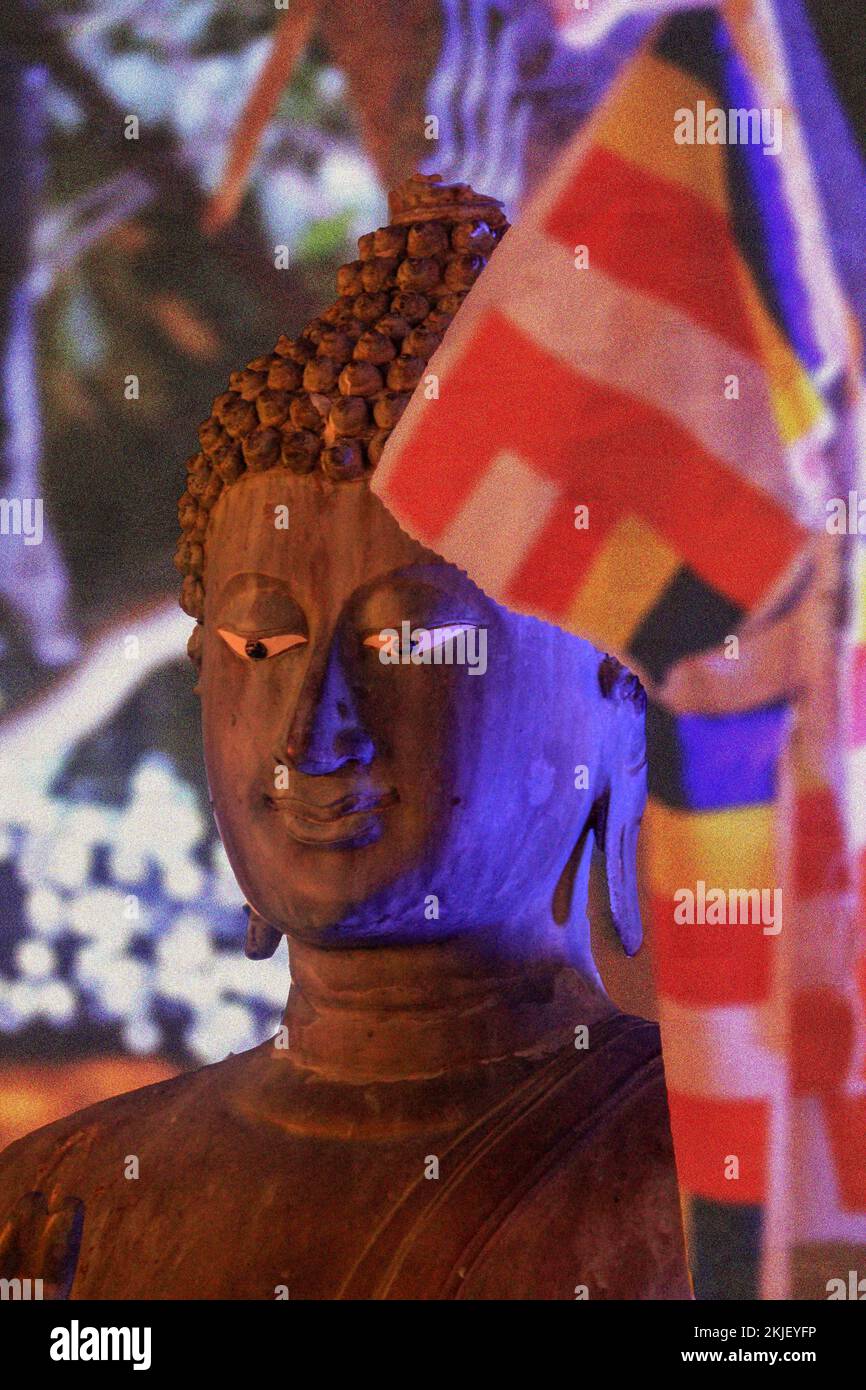 Vesak Celebrations in Sri Lanka Stock Photo - Alamy