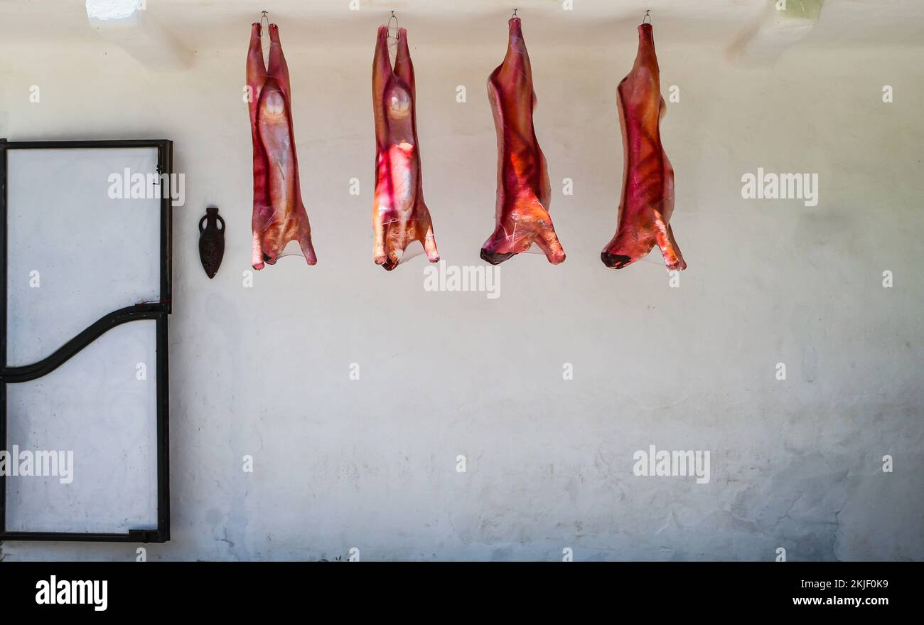 A view of slaughtered animals hanging from a wall in a market Stock ...