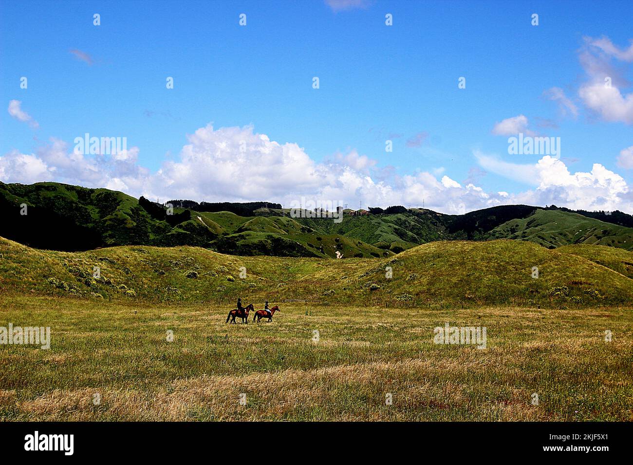 Horse riding across pasture Stock Photo - Alamy