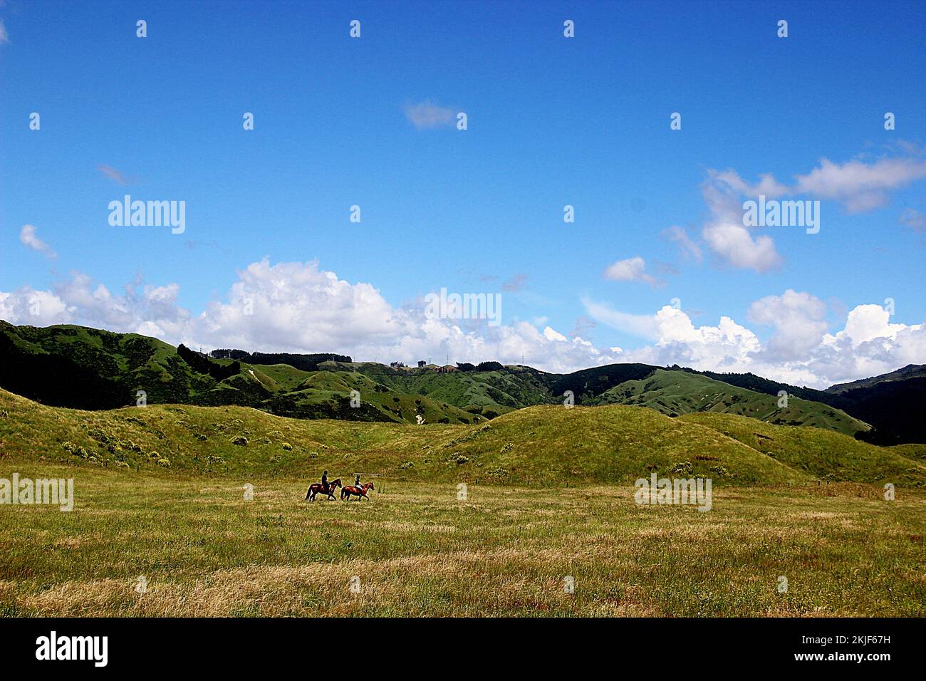 Horse riding across pasture Stock Photo - Alamy