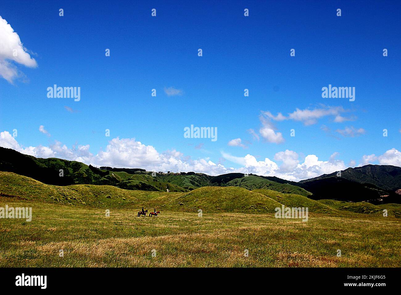 Horse riding across pasture Stock Photo - Alamy
