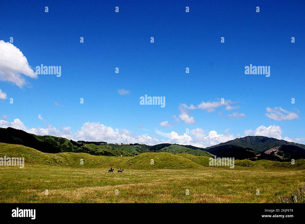 Horse riding across pasture Stock Photo - Alamy
