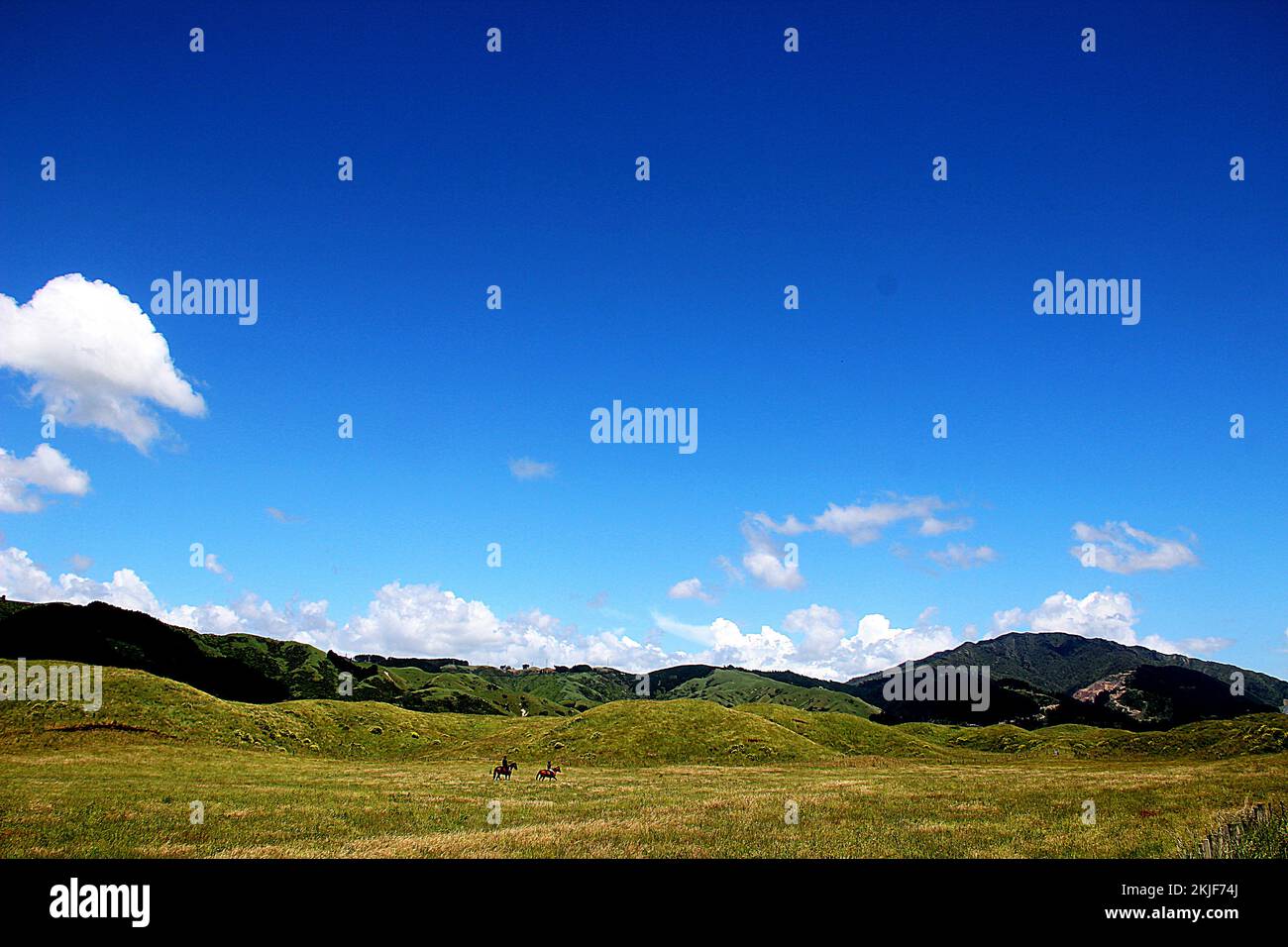 Horse riding across pasture Stock Photo - Alamy