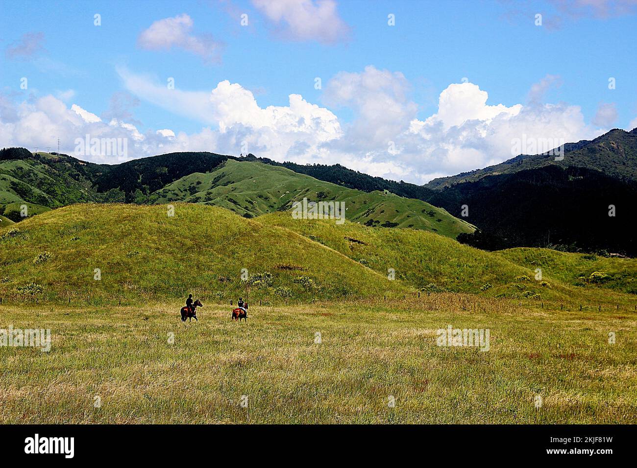 Horse riding across pasture Stock Photo - Alamy