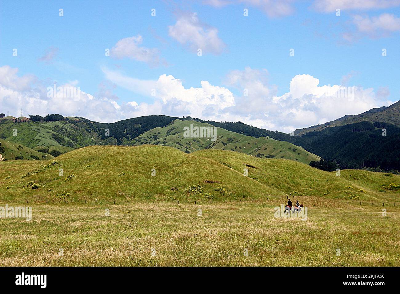 Horse riding across pasture Stock Photo - Alamy