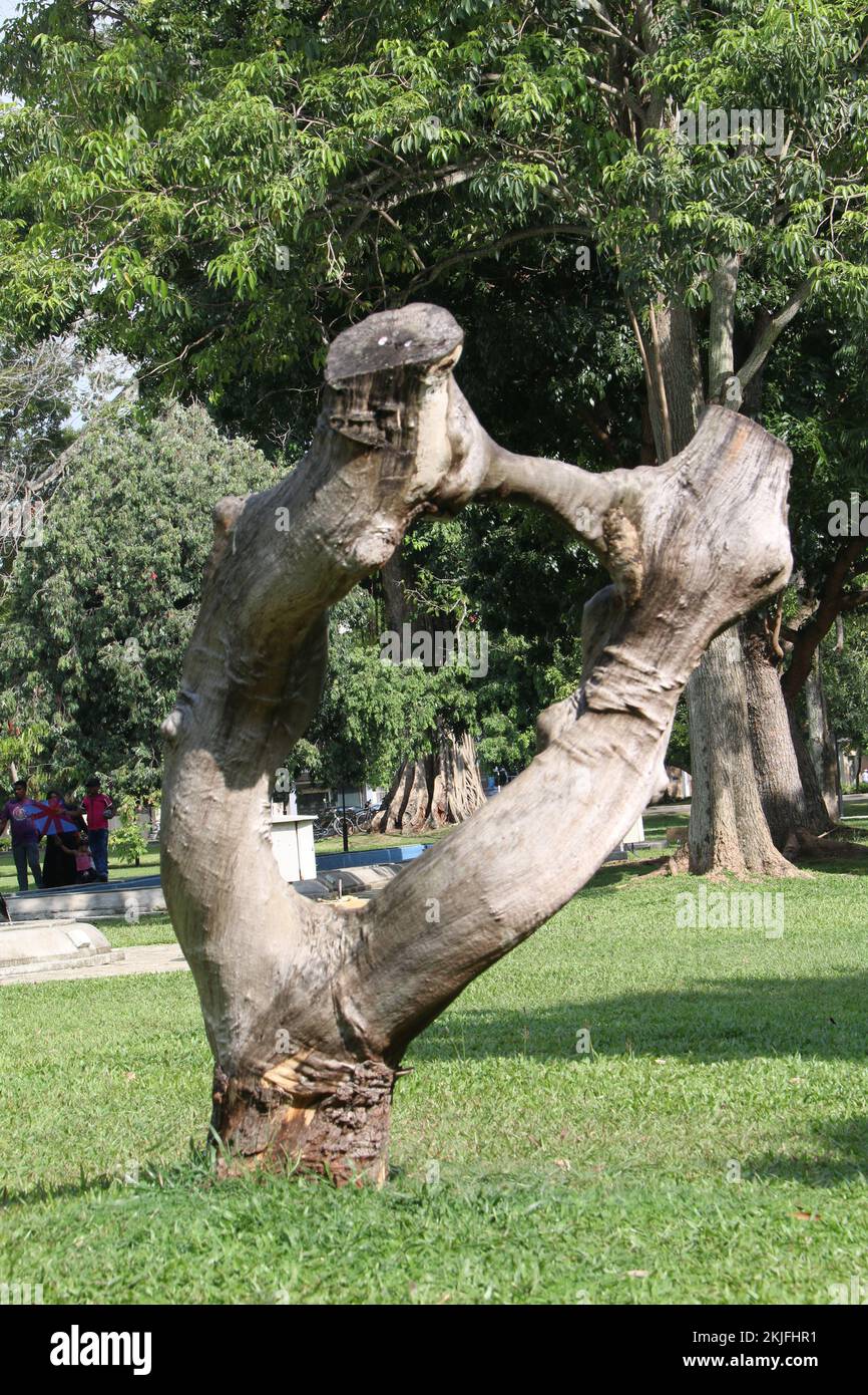 Vihara Maha Devi Park in Colombo, Sri Lanka Stock Photo - Alamy