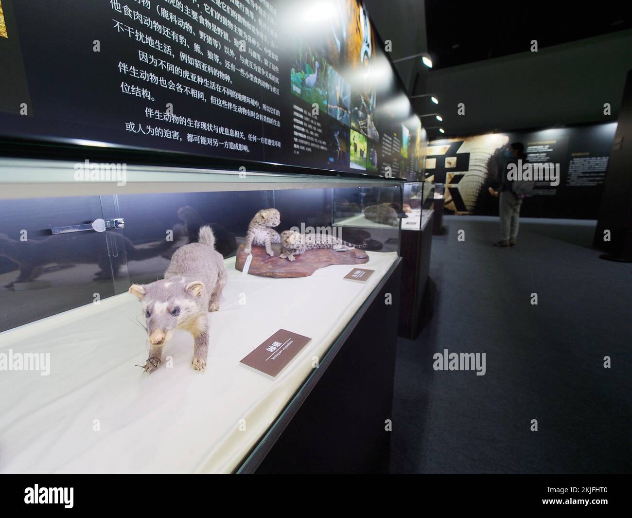 The Endangered Flagship Species Conservation Special Exhibition opens ...