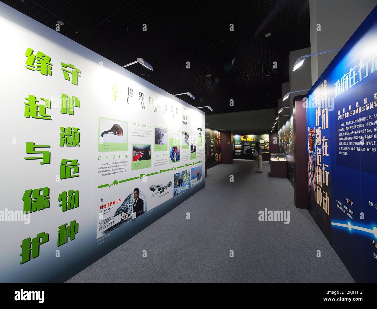 The Endangered Flagship Species Conservation Special Exhibition opens ...