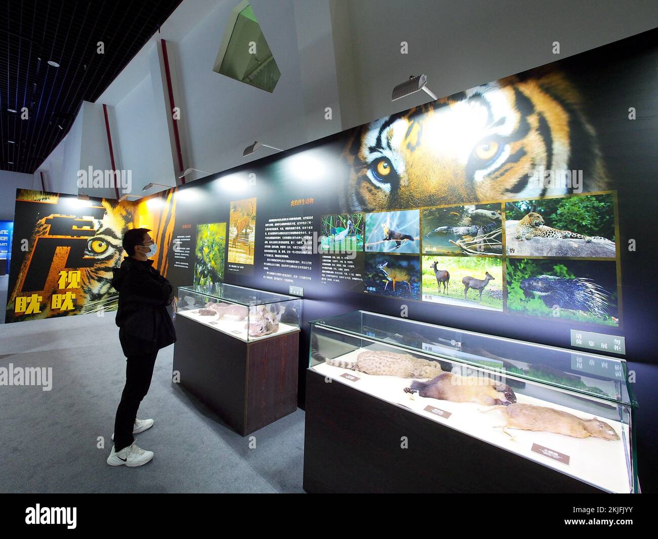 The Endangered Flagship Species Conservation Special Exhibition opens ...