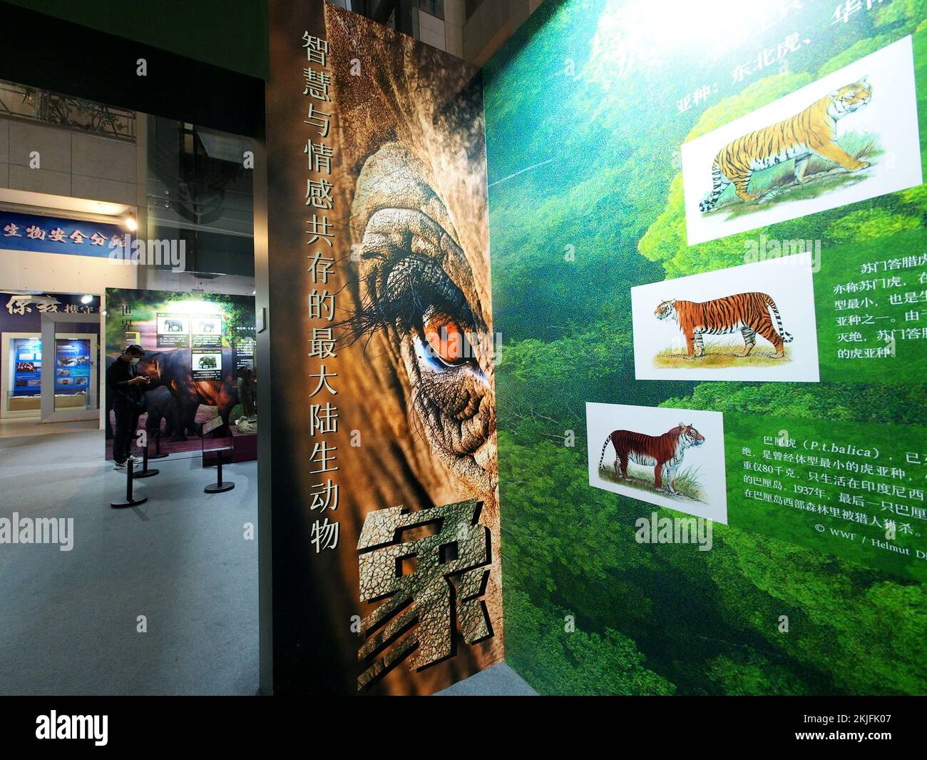 The Endangered Flagship Species Conservation Special Exhibition opens ...