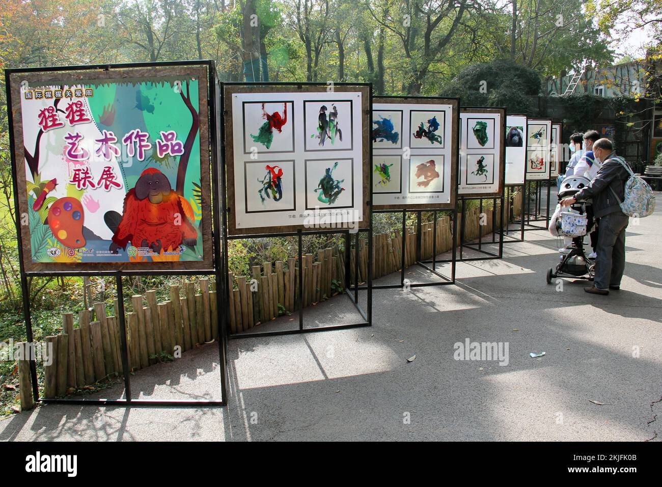 The Chimpanzee Painting Exhibition in Hongshan Forest Zoo in Nanjing ...