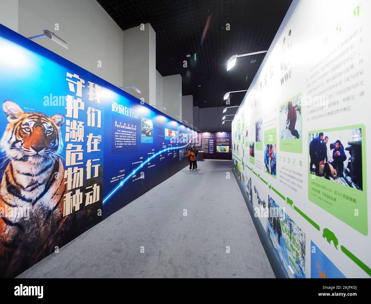 The Endangered Flagship Species Conservation Special Exhibition opens ...