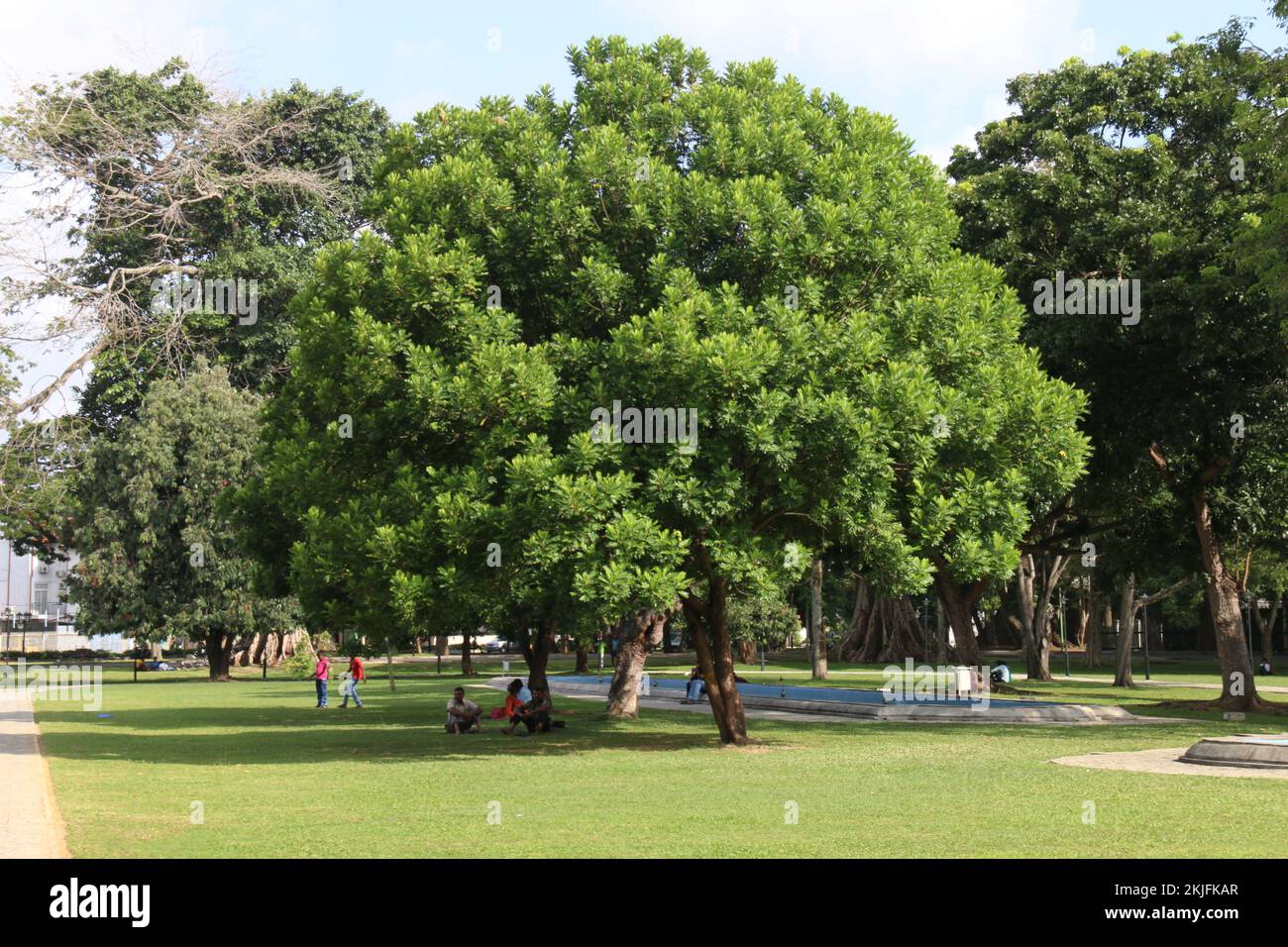 Vihara Maha Devi Park in Colombo, Sri Lanka Stock Photo - Alamy