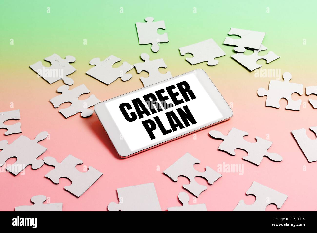 Conceptual display Career Plan. Concept meaning ongoing process where ... Conceptual display Career Plan. Concept meaning ongoing process where ...