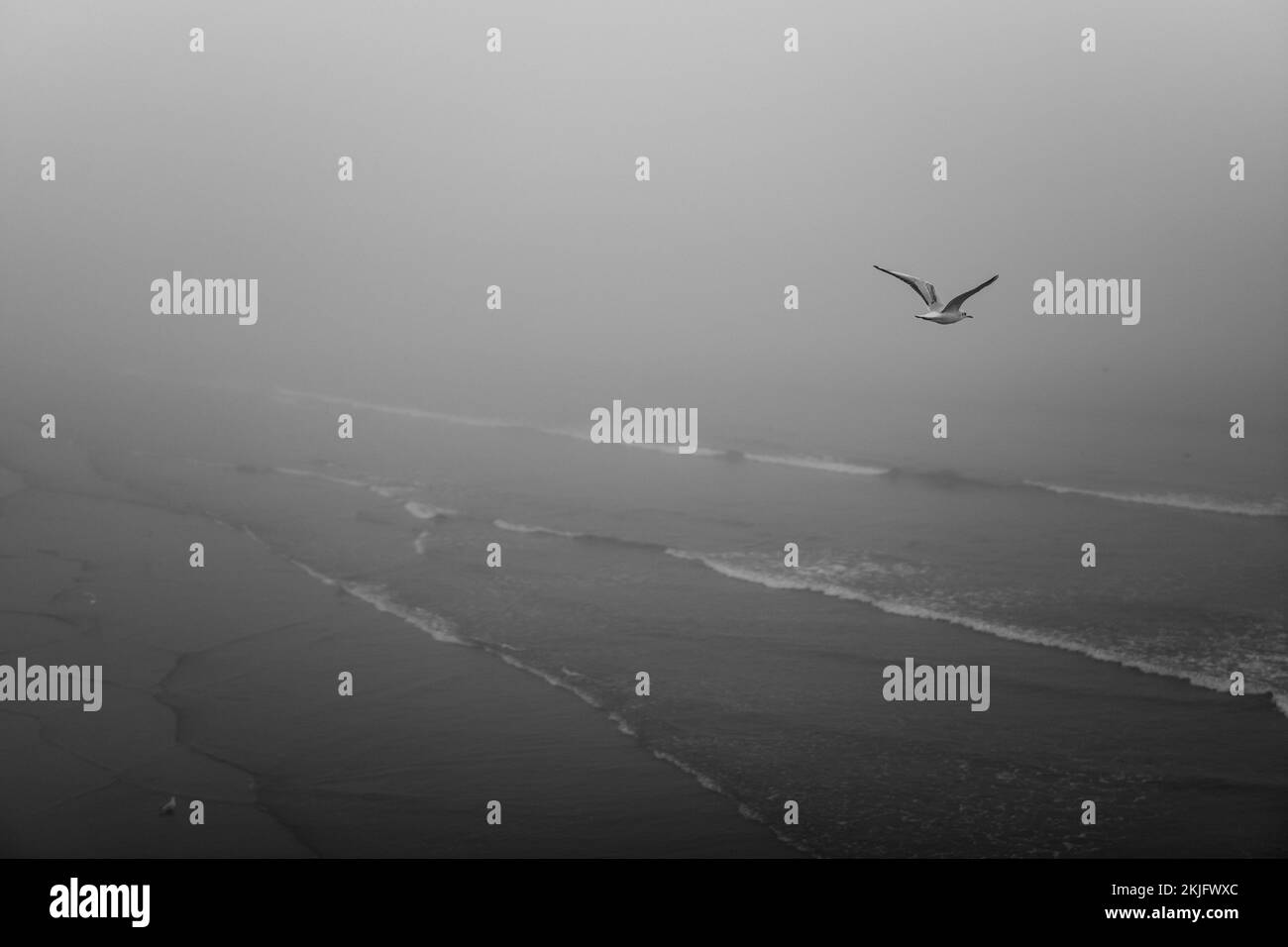 A grayscale shot at Saltburn beach with a bird flying over the sea ...