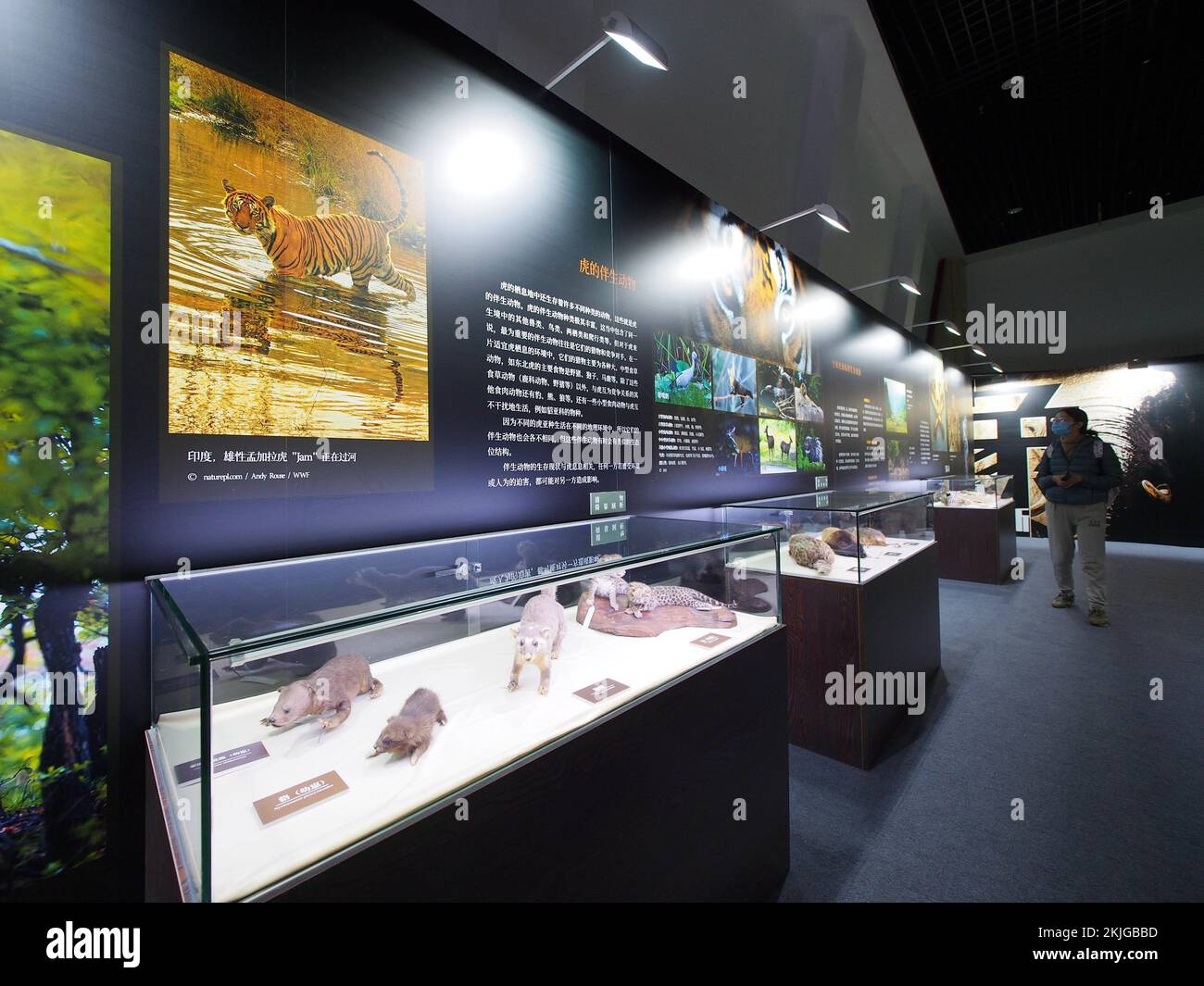 The Endangered Flagship Species Conservation Special Exhibition opens ...