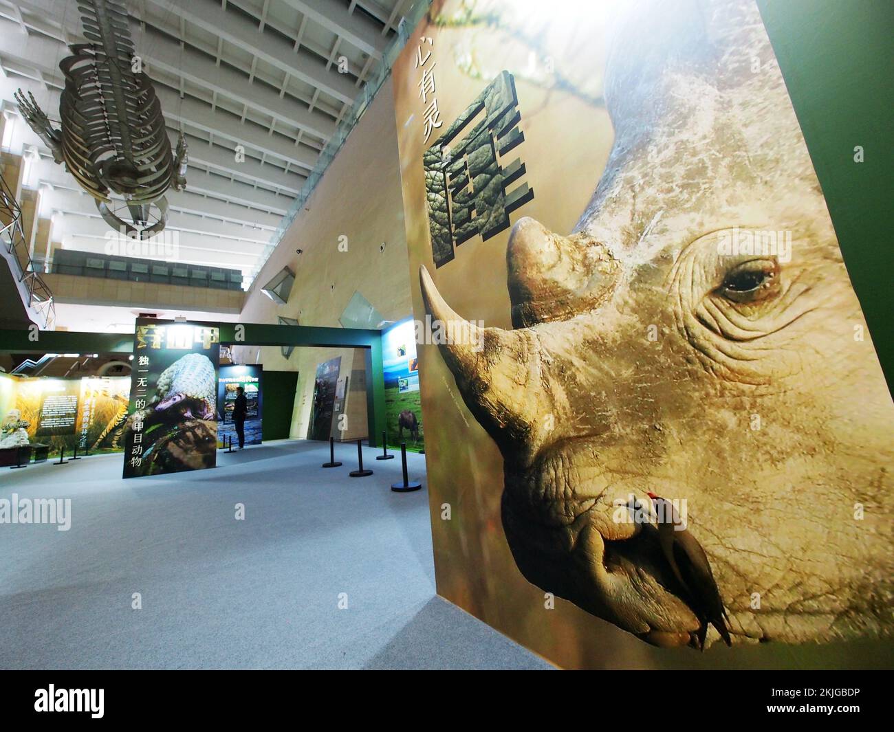 The Endangered Flagship Species Conservation Special Exhibition opens ...
