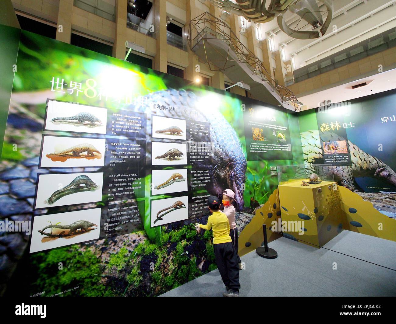 The Endangered Flagship Species Conservation Special Exhibition opens ...