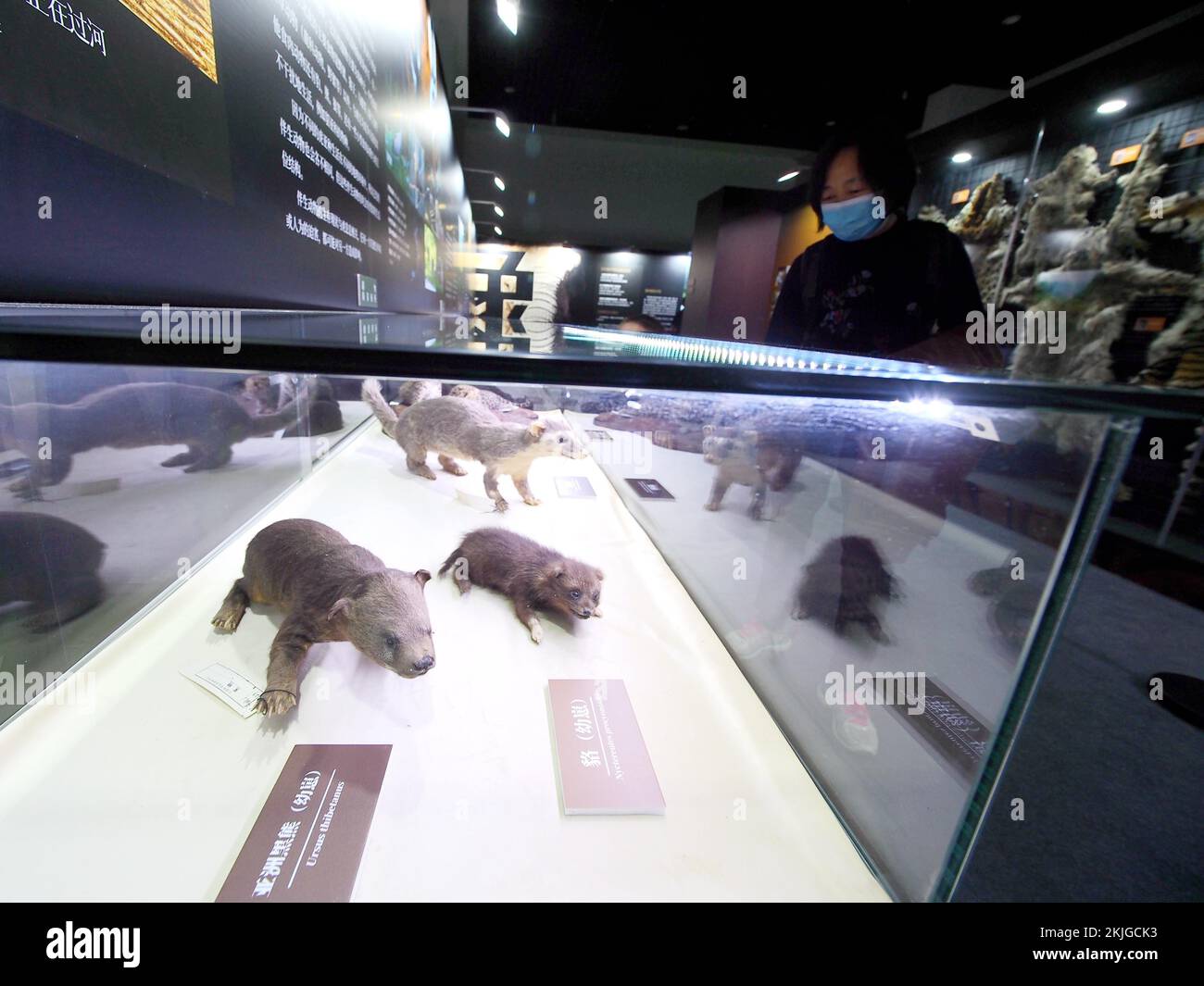 The Endangered Flagship Species Conservation Special Exhibition opens ...