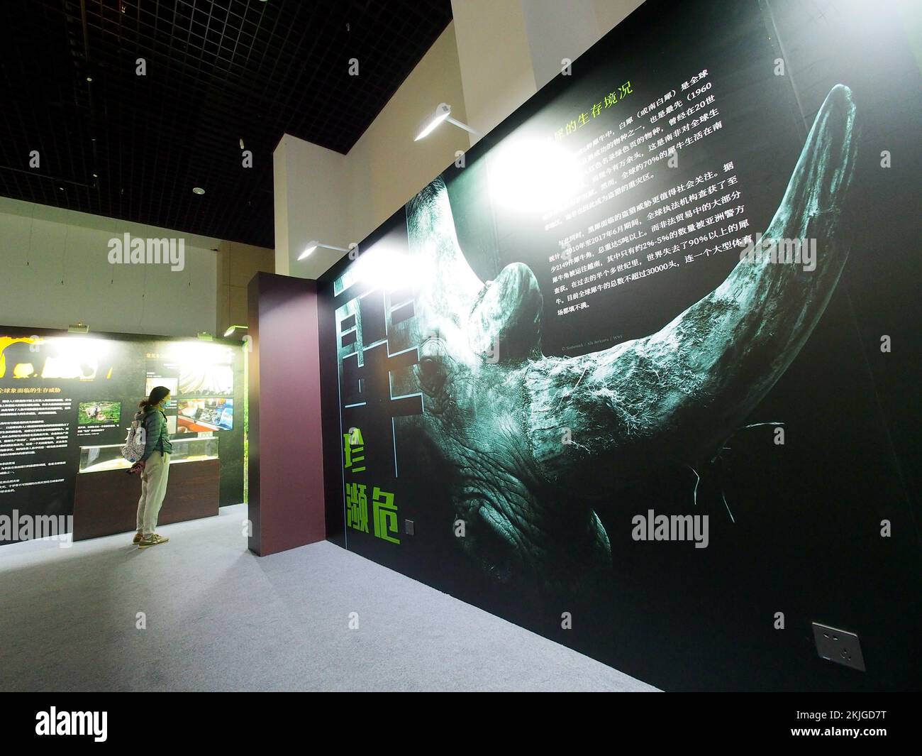 The Endangered Flagship Species Conservation Special Exhibition opens ...