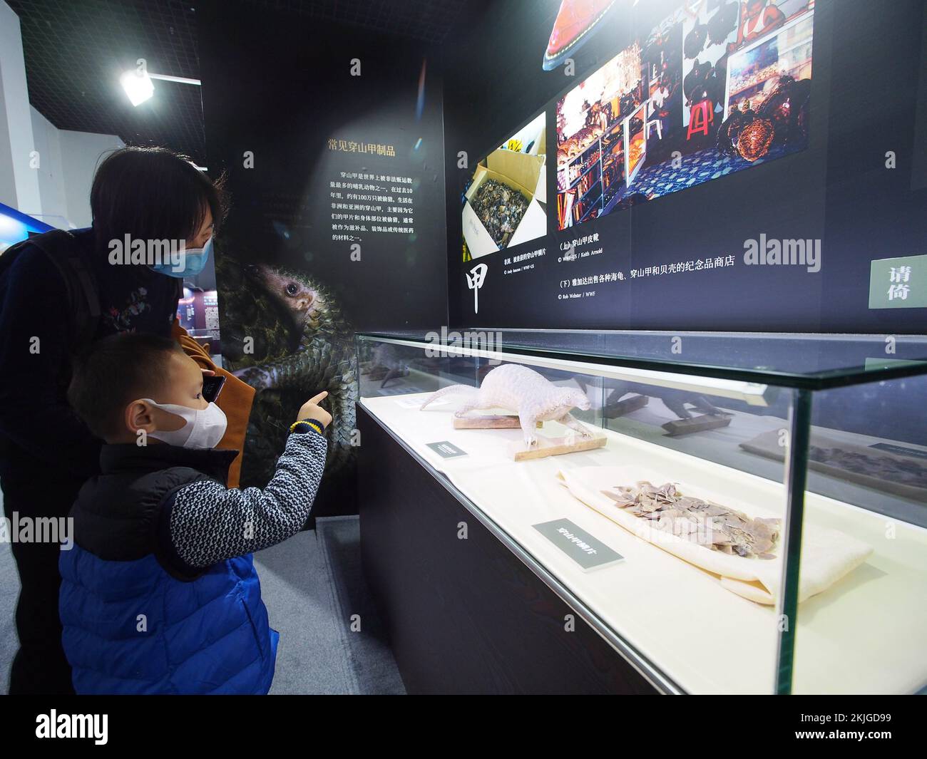 The Endangered Flagship Species Conservation Special Exhibition opens ...