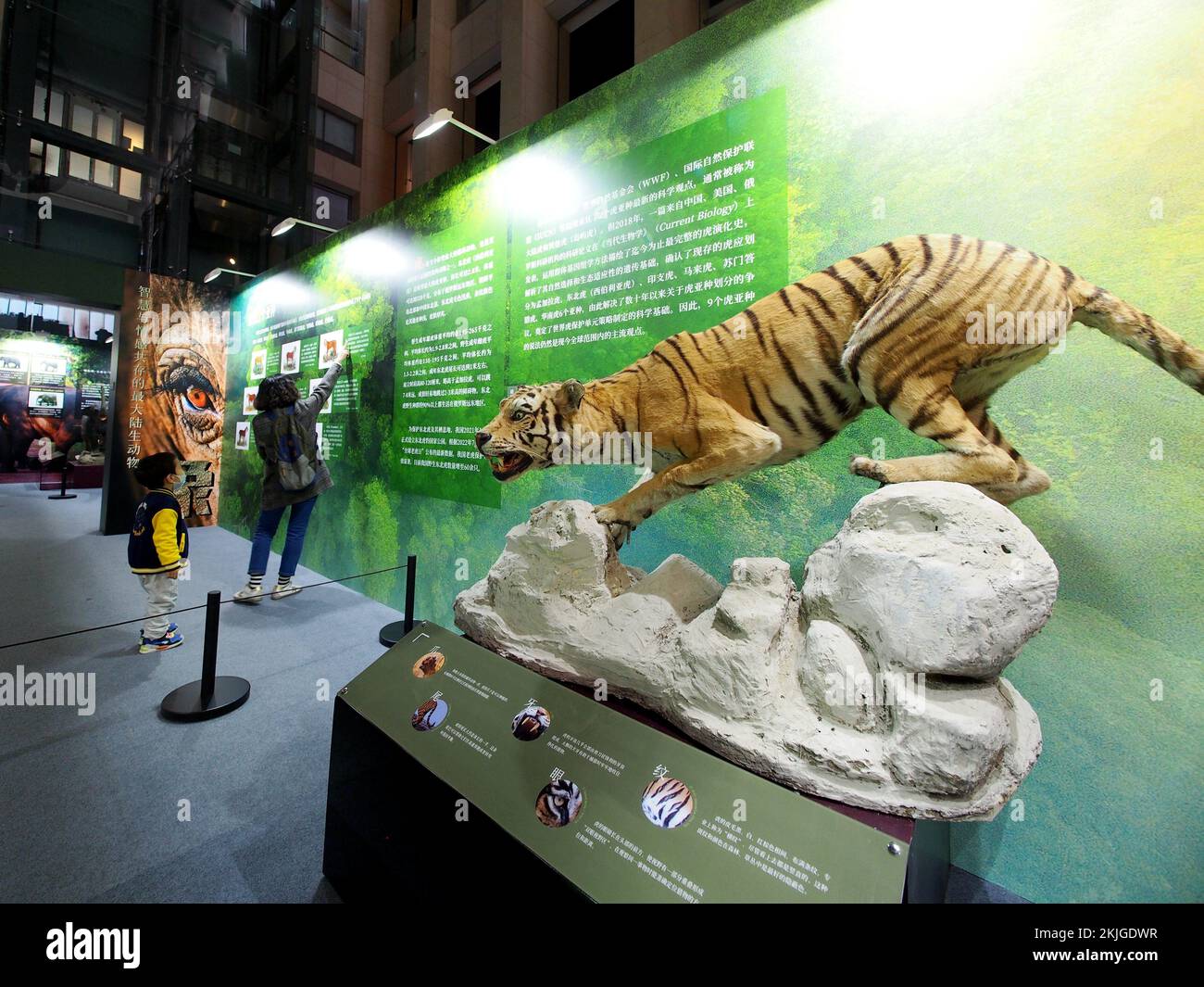 The Endangered Flagship Species Conservation Special Exhibition opens ...