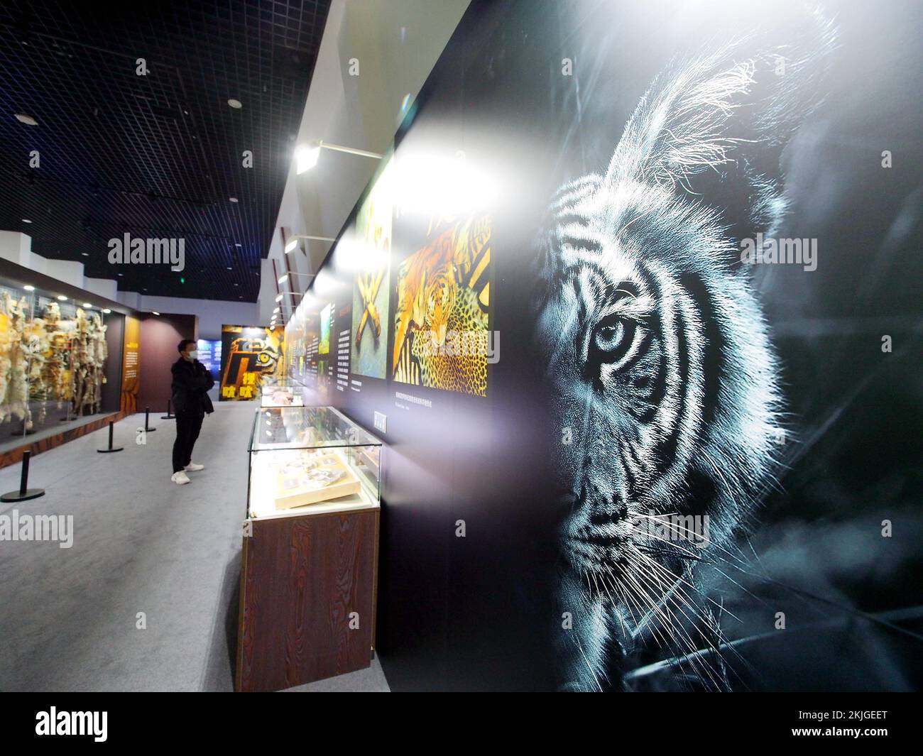 The Endangered Flagship Species Conservation Special Exhibition opens ...