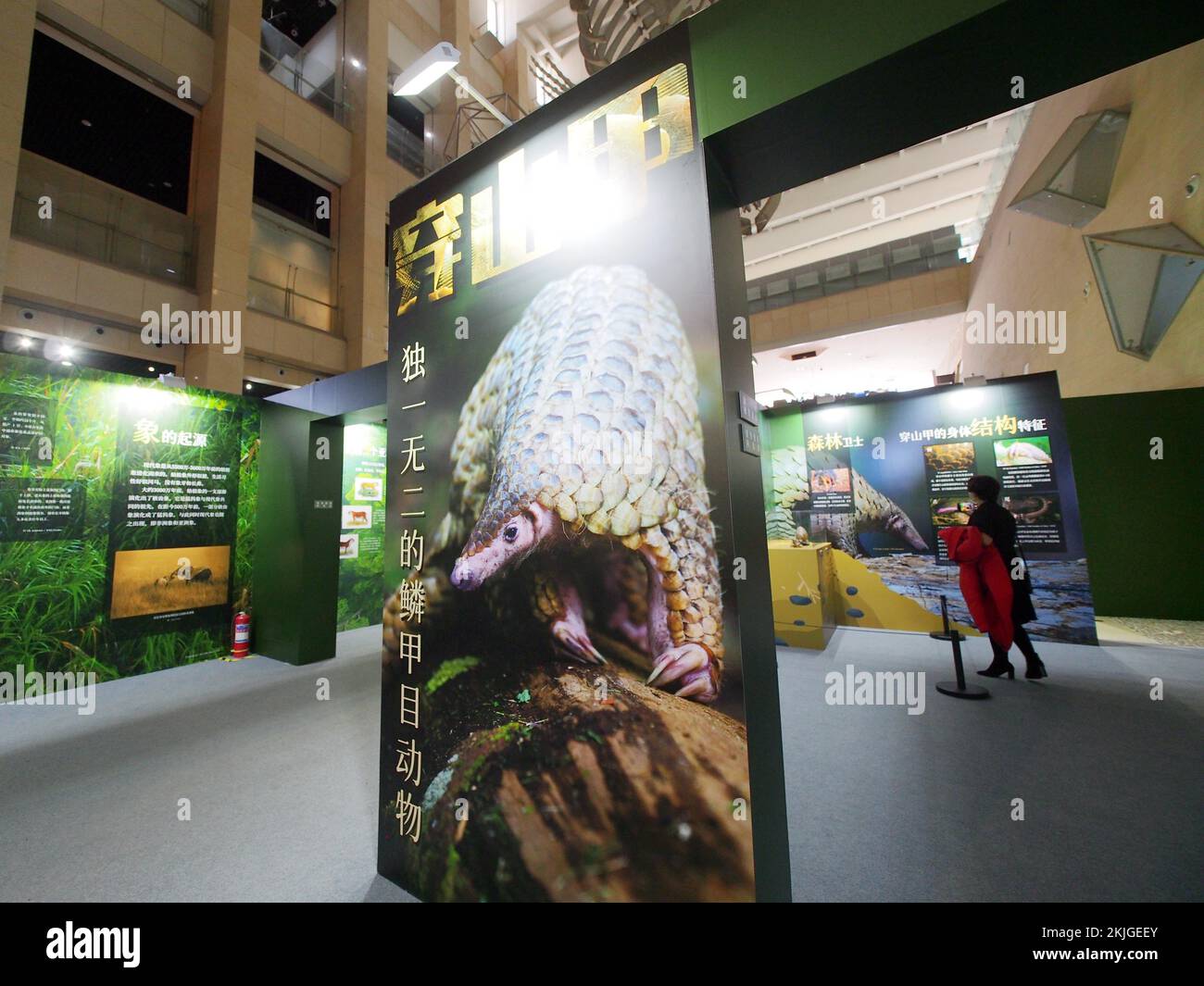 The Endangered Flagship Species Conservation Special Exhibition opens ...