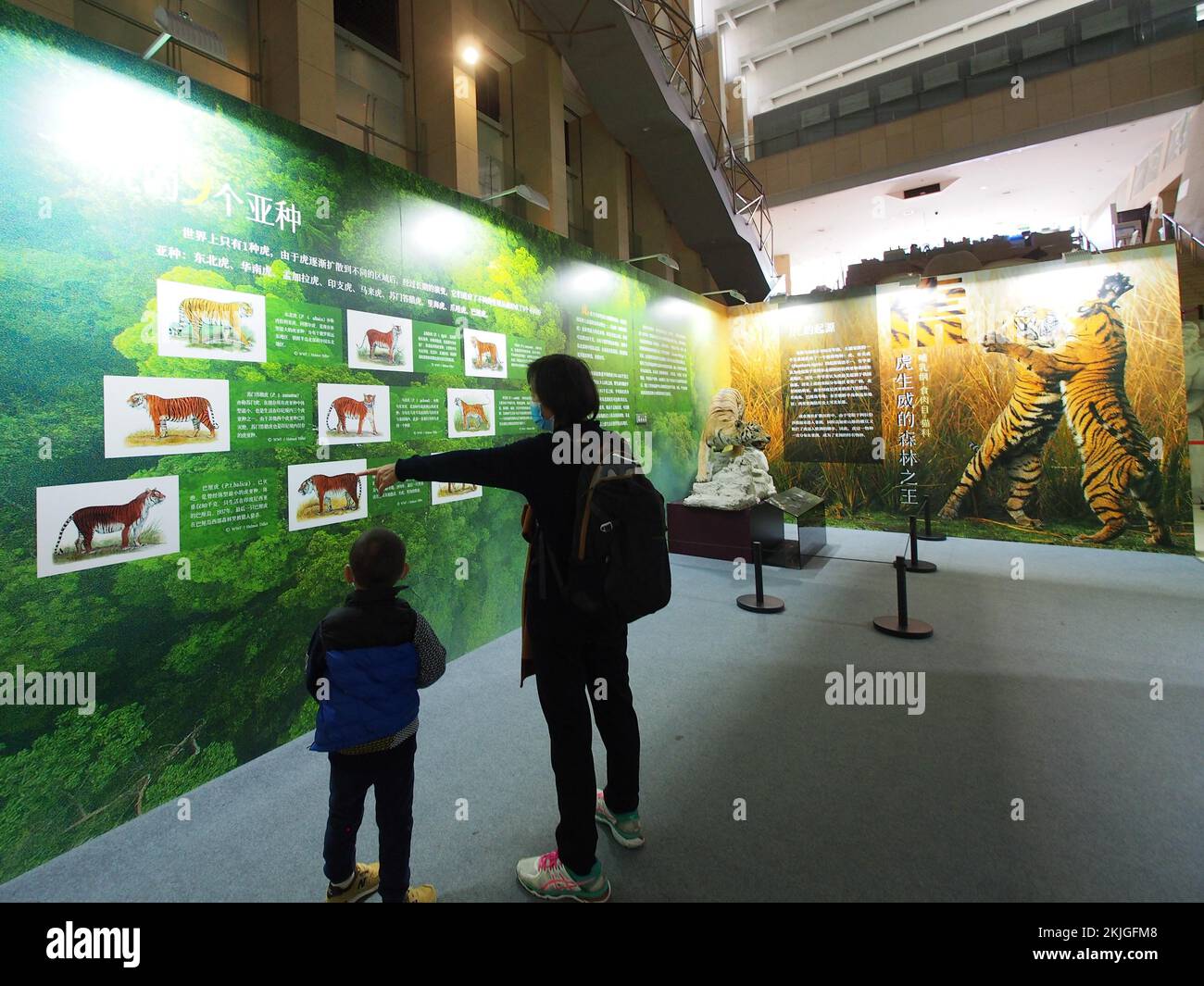 The Endangered Flagship Species Conservation Special Exhibition opens ...