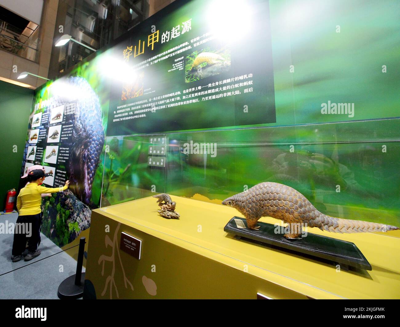 The Endangered Flagship Species Conservation Special Exhibition opens ...