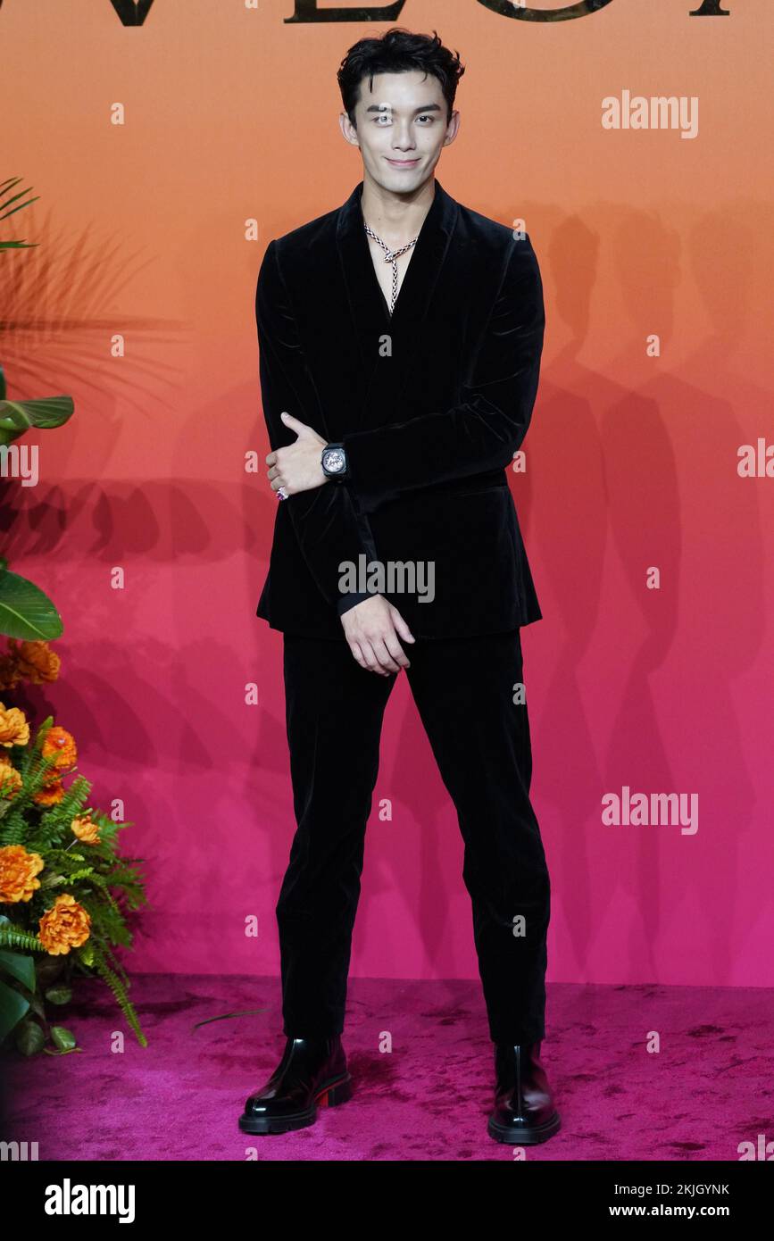 Chinese actor Leo Wu attended the red carpet of the BVLGARI activity in ...
