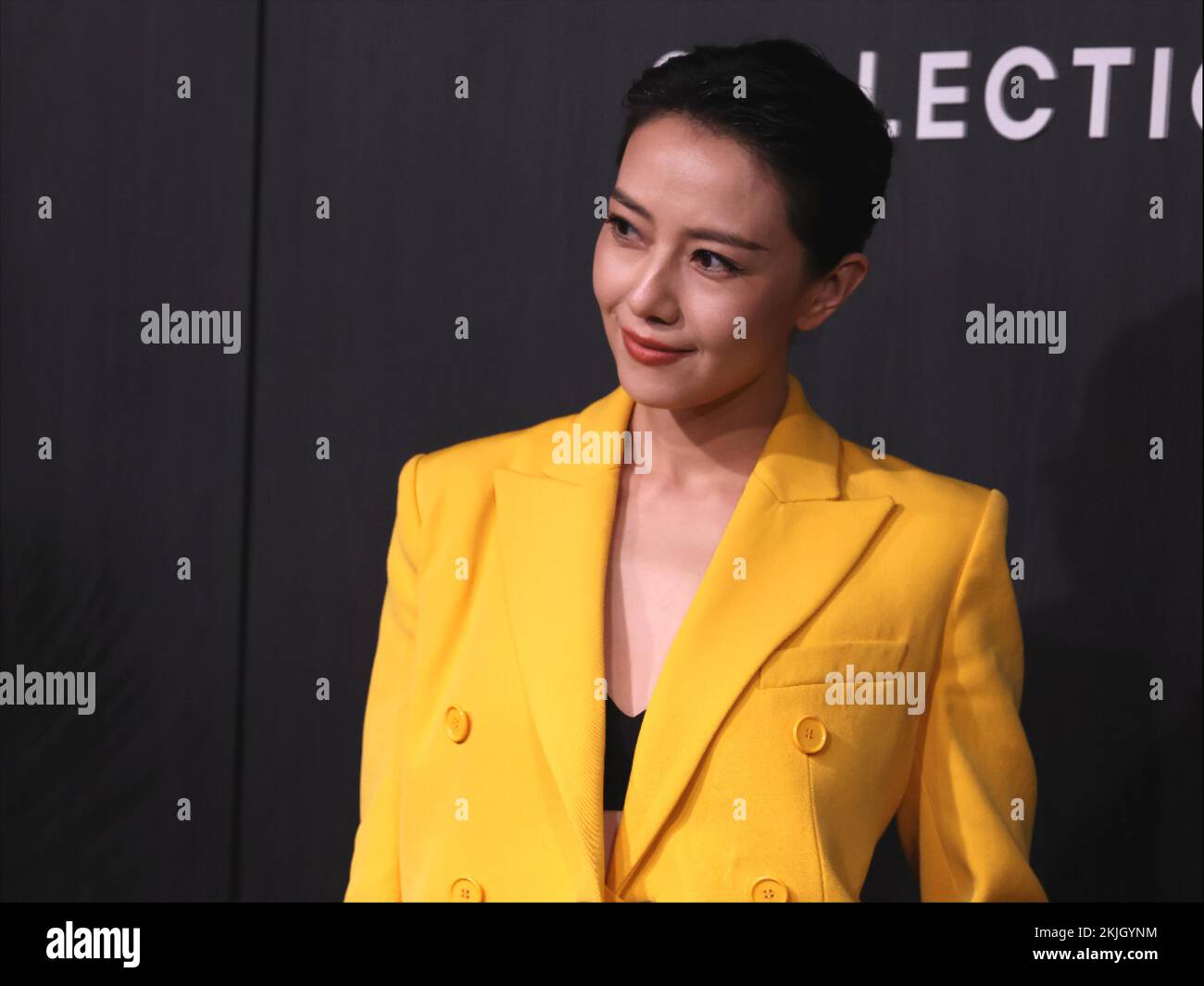 Chinese actress and model Gao Yuanyuan attended the red carpet of the ...