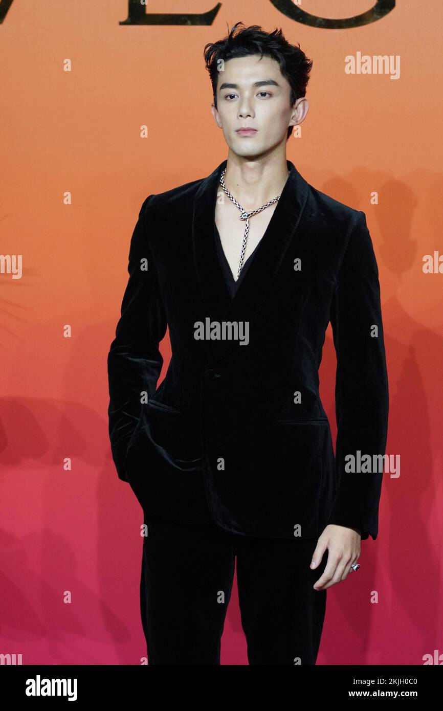 Chinese actor Leo Wu attended the red carpet of the BVLGARI activity in ...